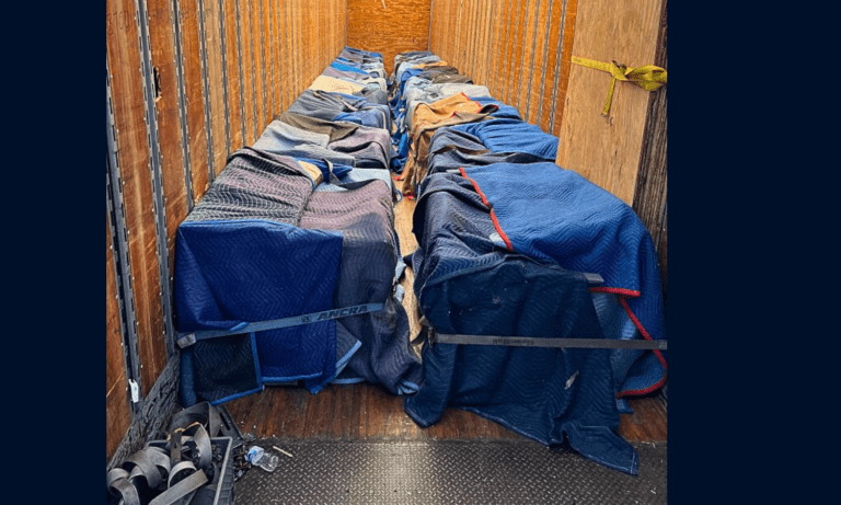 Constant Technologies' Console Freight Strategy